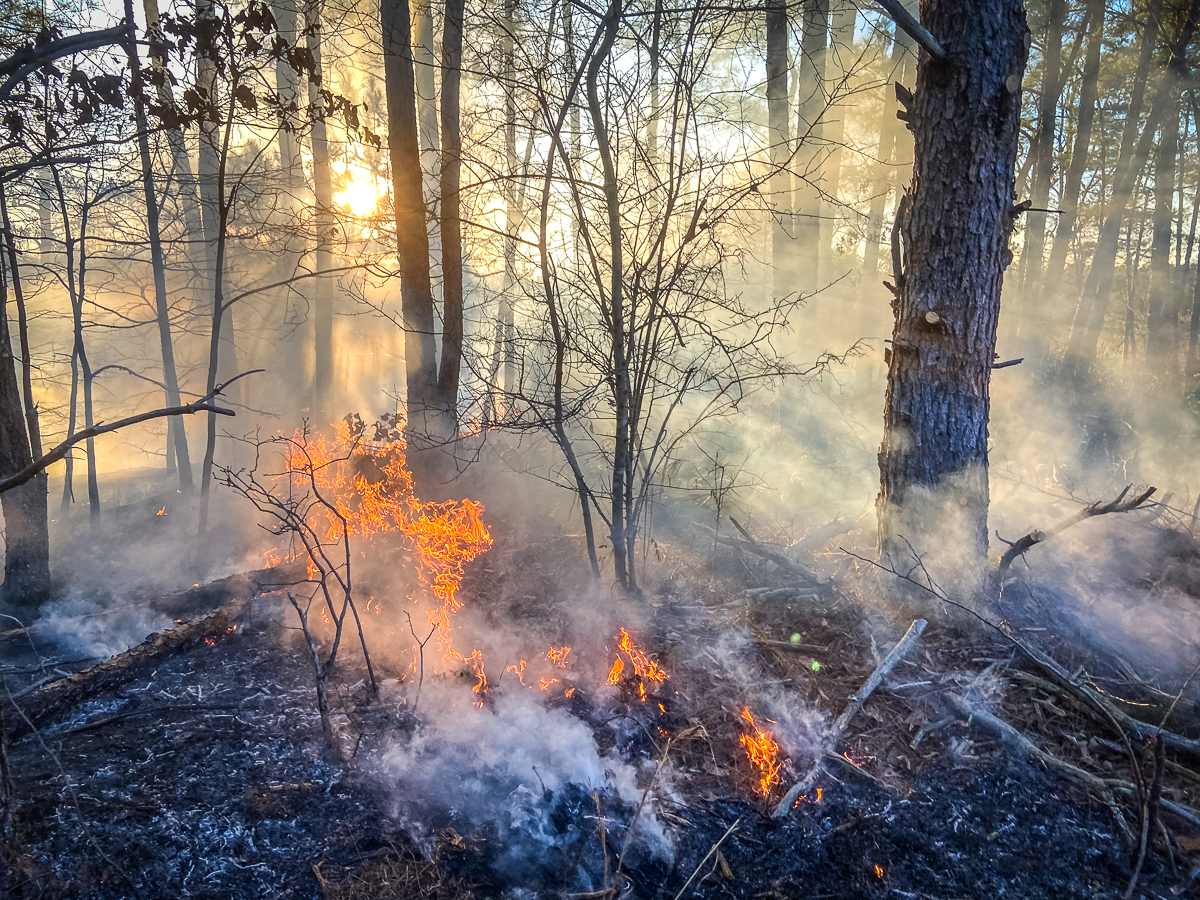 What to Know About Your First Controlled Burn - Realtree Store