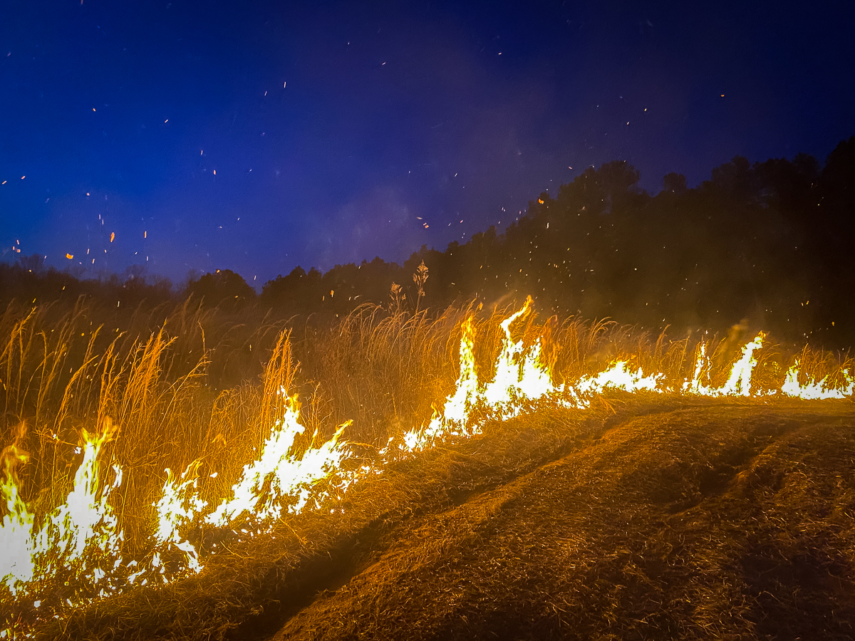 What to Know About Your First Controlled Burn - Realtree Store