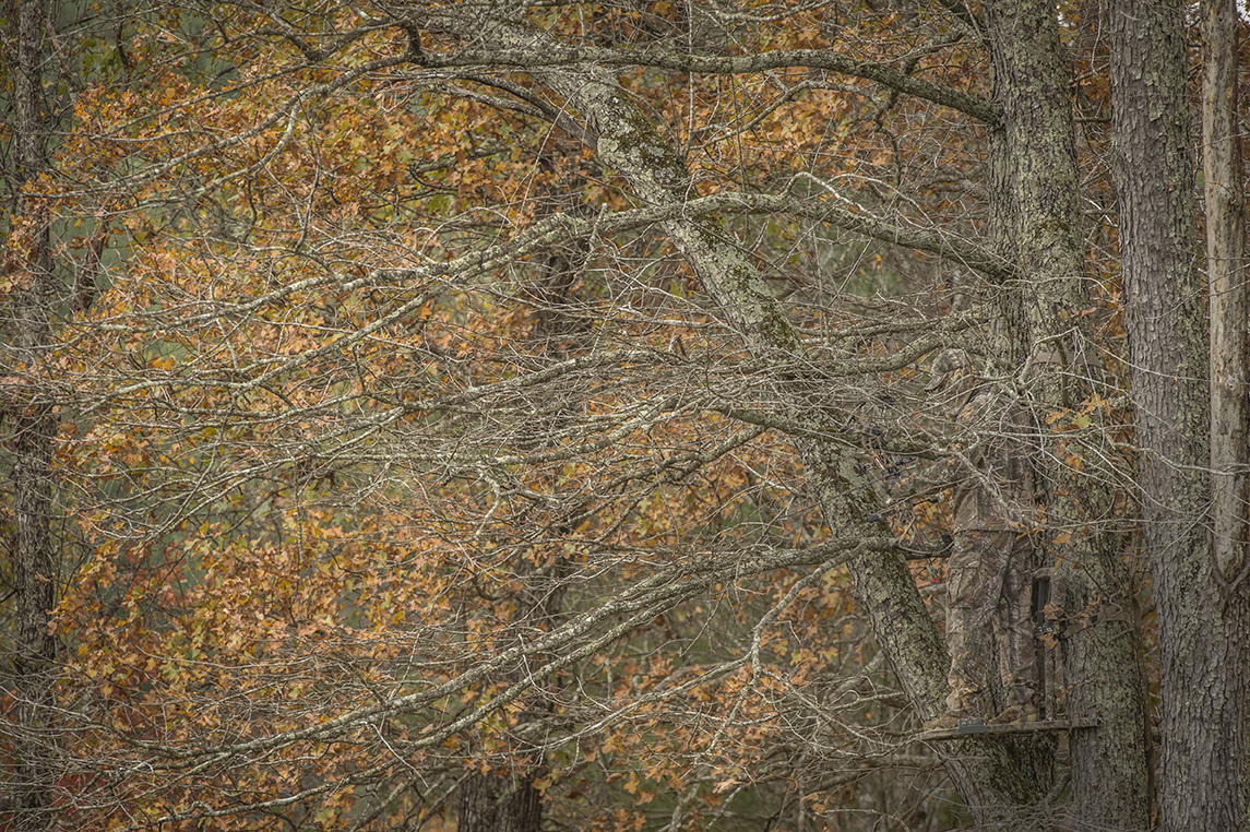15 Places Big Bucks Bed That Deer Hunters Should Hunt - Realtree Store